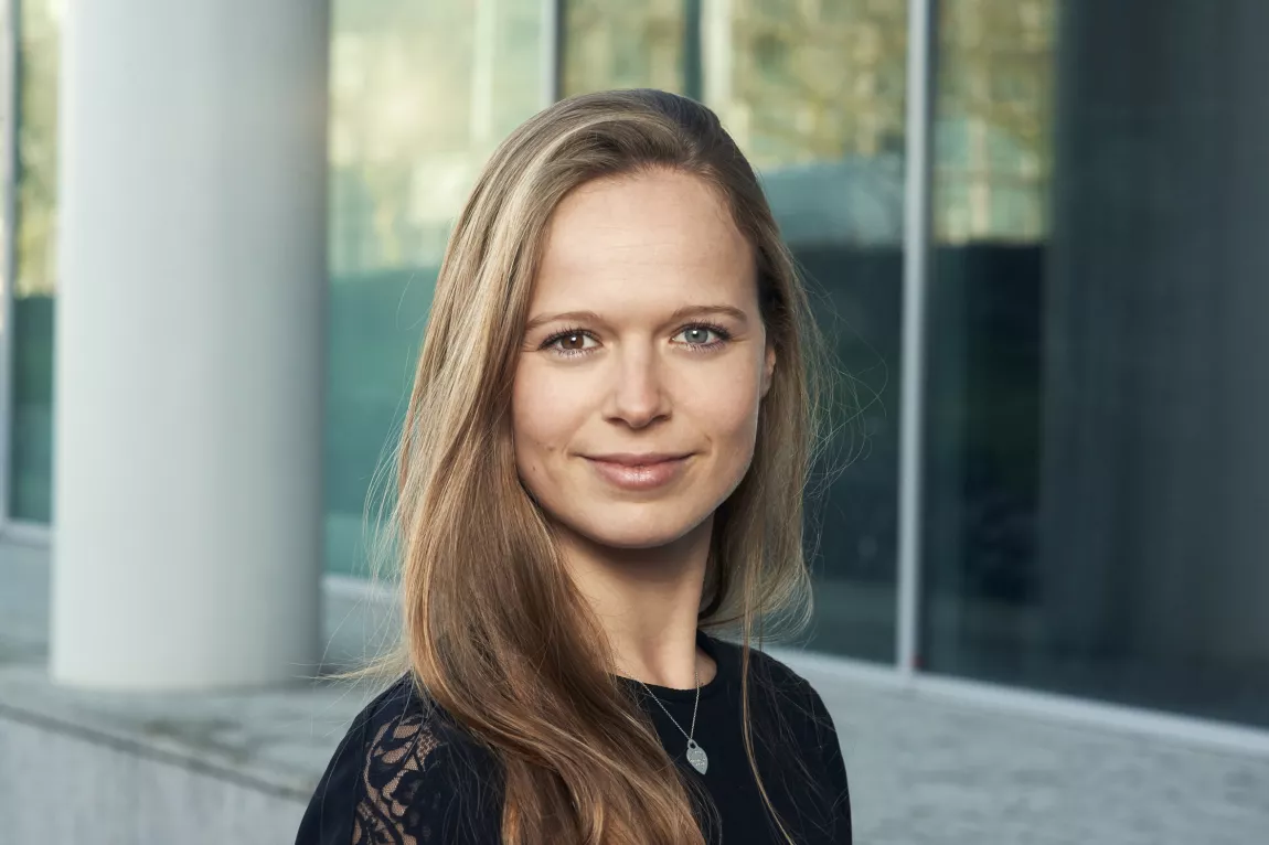 Frederike de Meulemeester | Stibbe